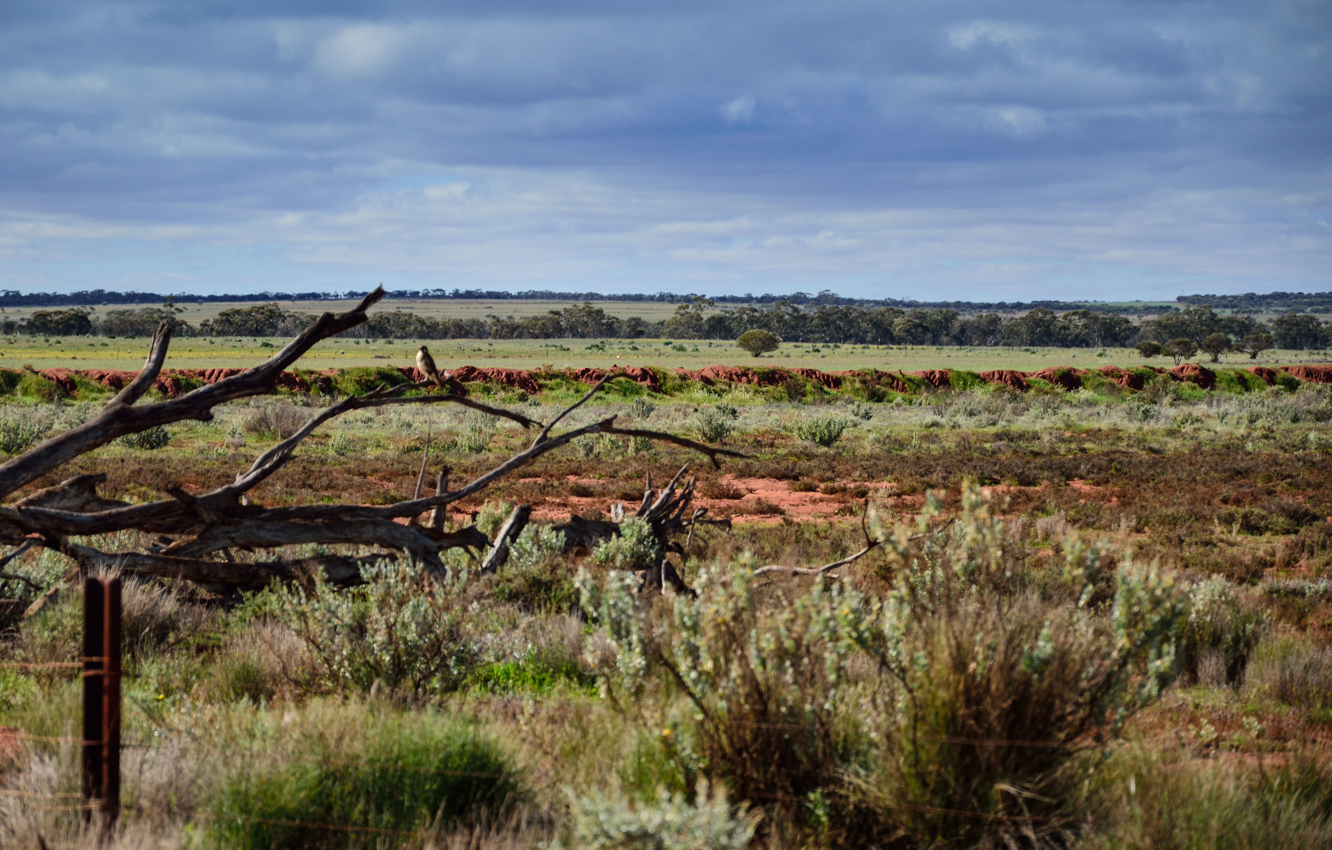 Regenerative Agriculture Talk | Western Australian Museum