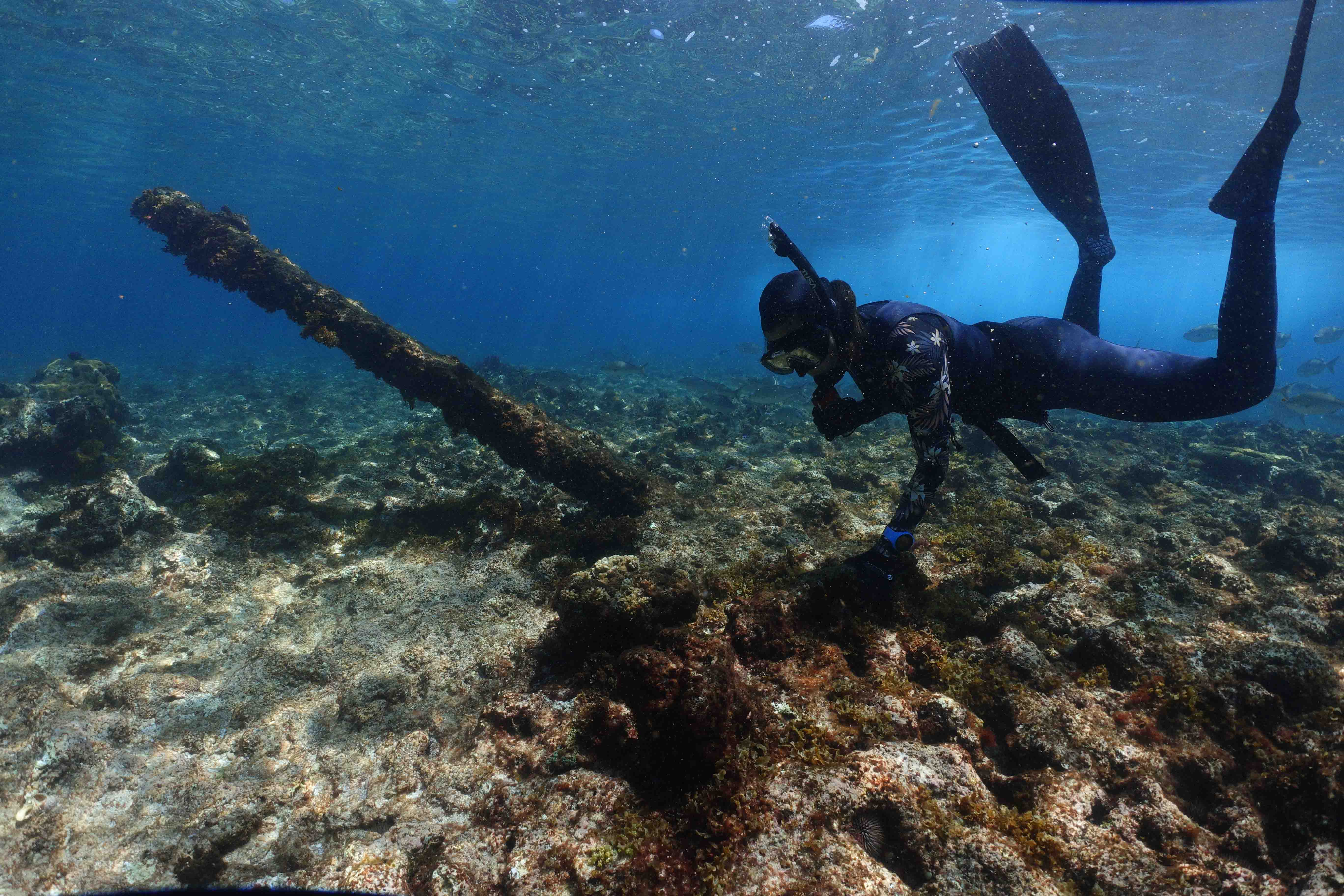 Shipwreck Hunters Australia: Understanding the wrecks through artefacts ...