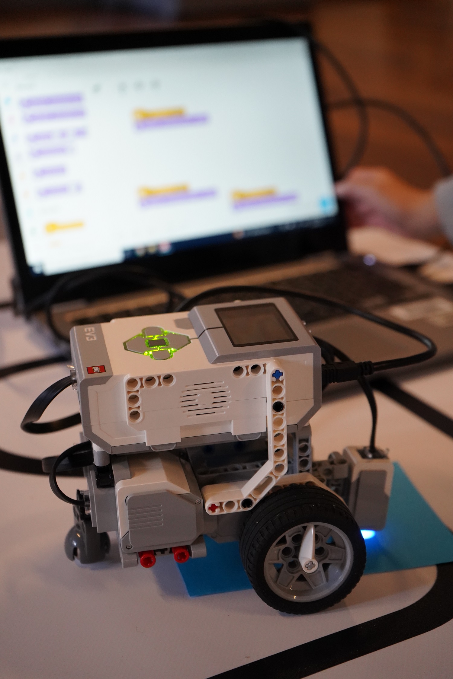 Mindstorming Mayhem | Western Australian Museum