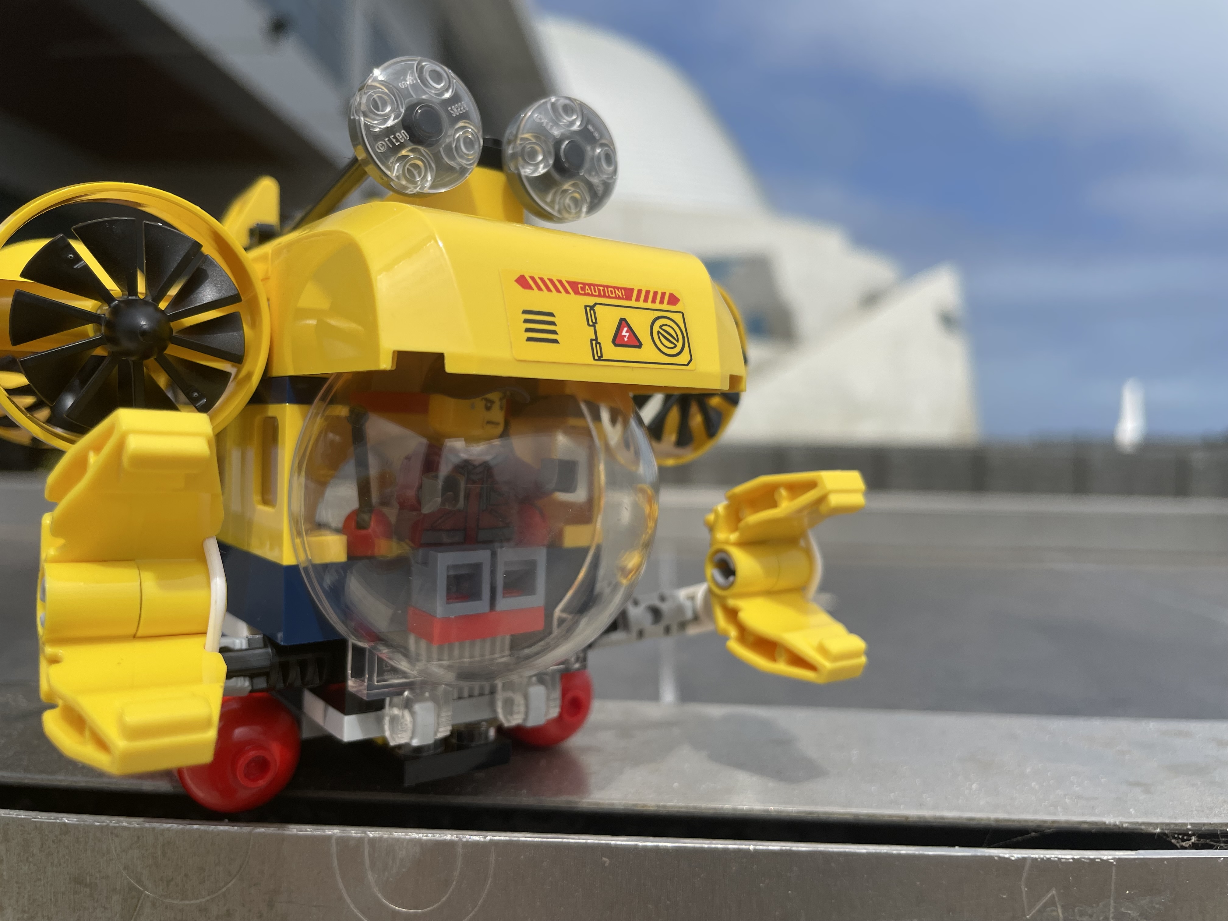 Davina and Dave's Deep Dive Discovery | Western Australian Museum