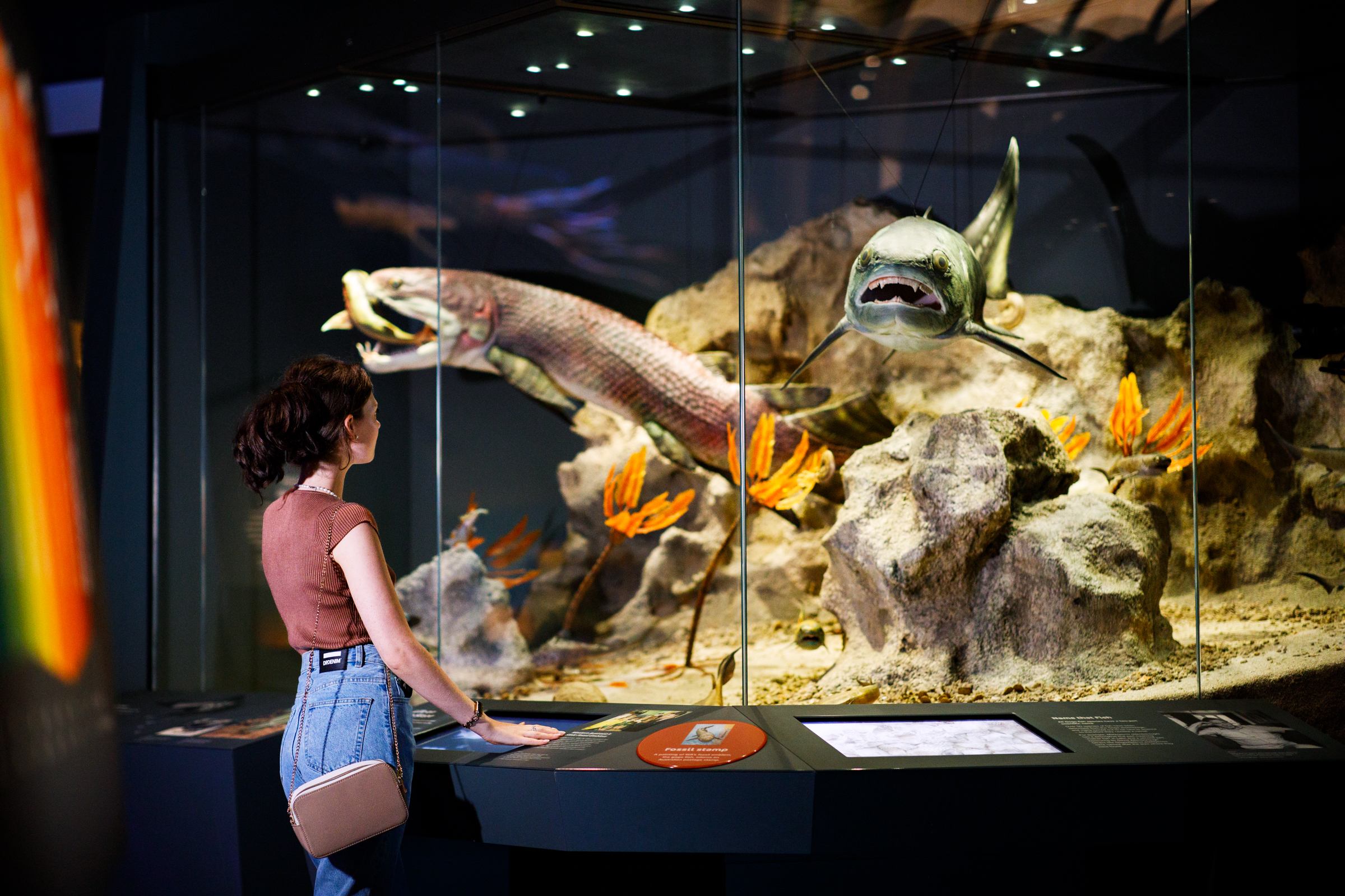 What's on at Boola Bardip | Western Australian Museum