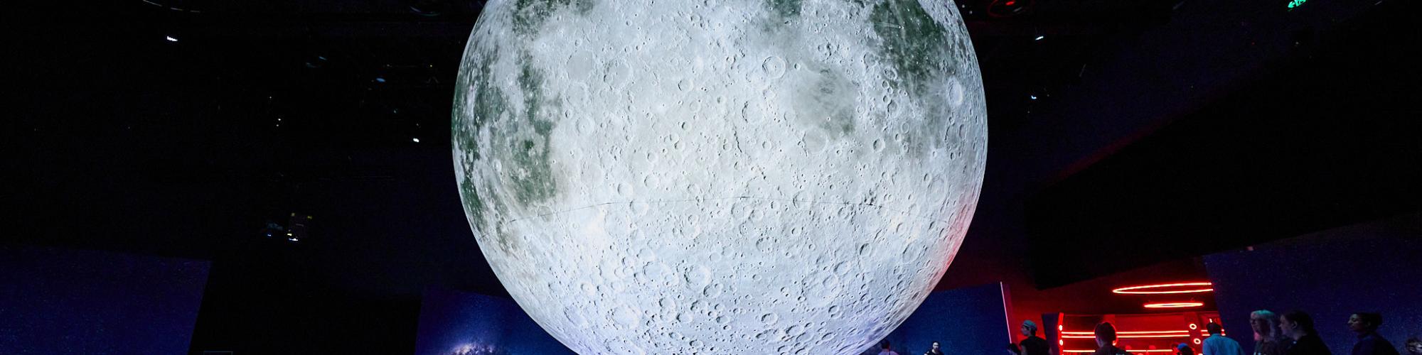 Welcome to the Western Australian Museum | Western Australian Museum