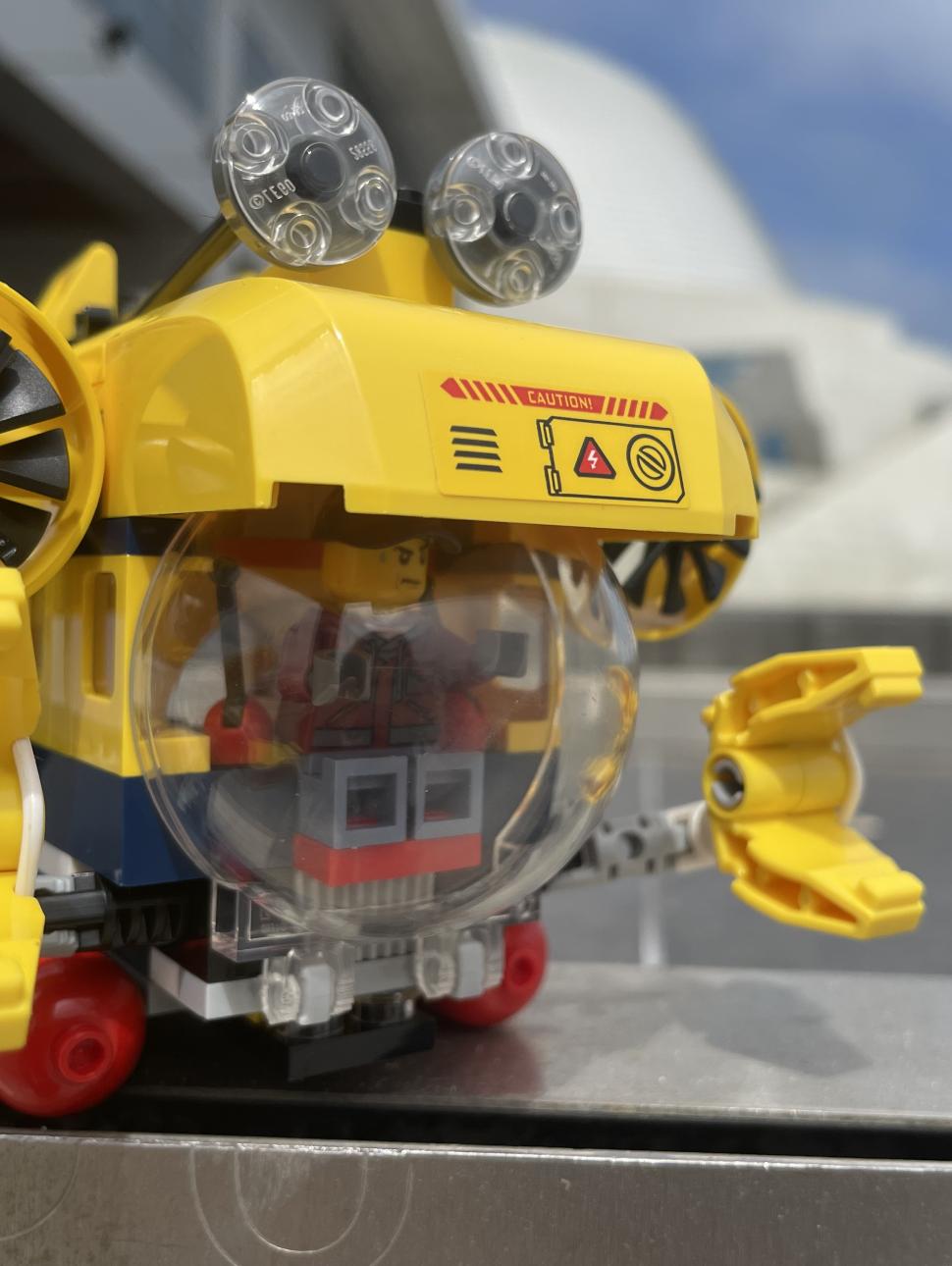 Davina and Dave's Deep Dive Discovery | Western Australian Museum